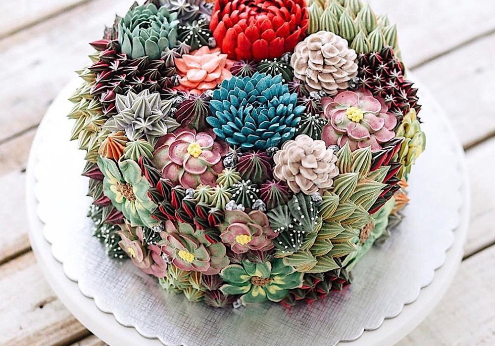 DIY House Plant Cupcakes And Amazing Terrarium Flower Cakes – ArtThat