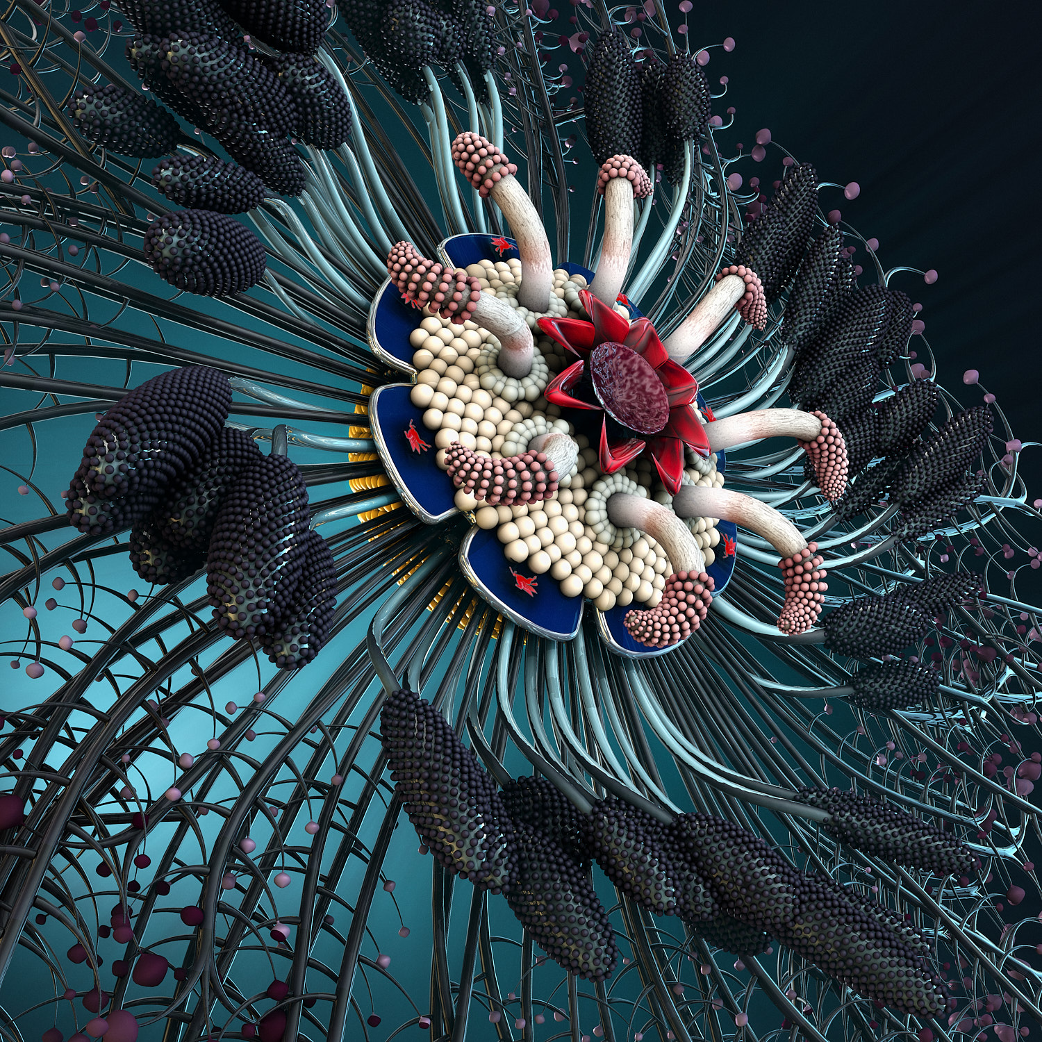 生成式艺术：乔恩·麦科马克 – 五十姐妹 – 艺廊网